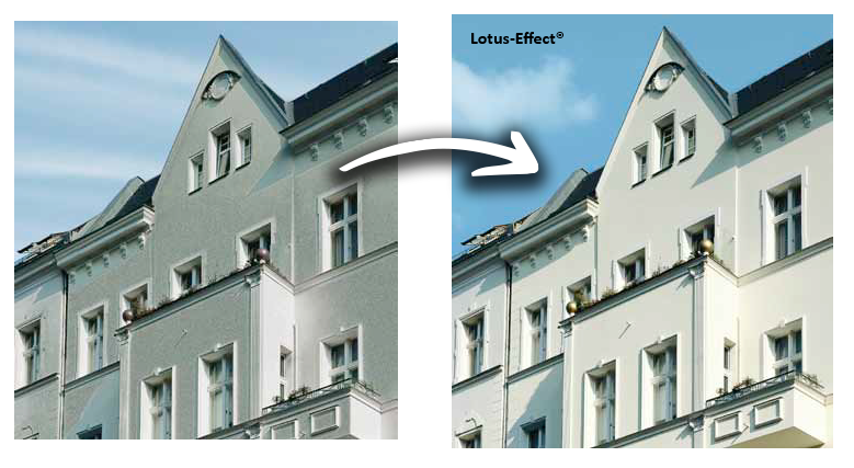 Lotusan® Therm :: XXLFARBEN.com